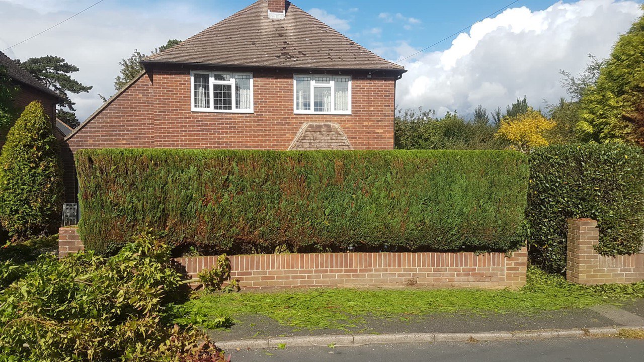 Can Overgrown Hedges Cause Structural Damage to Walls or Fences ...
